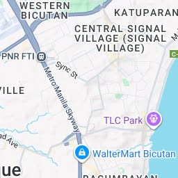 Makati City Administrative Boundary Map