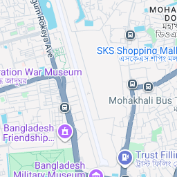 DNCC Development Project (IDRS) 2021