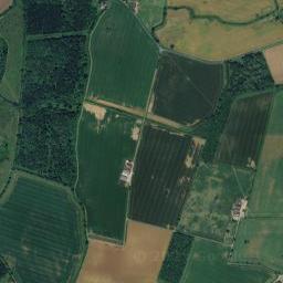 Nature Recovery Network Surveys