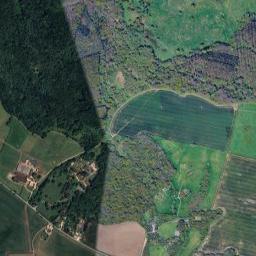 Nature Recovery Network Surveys